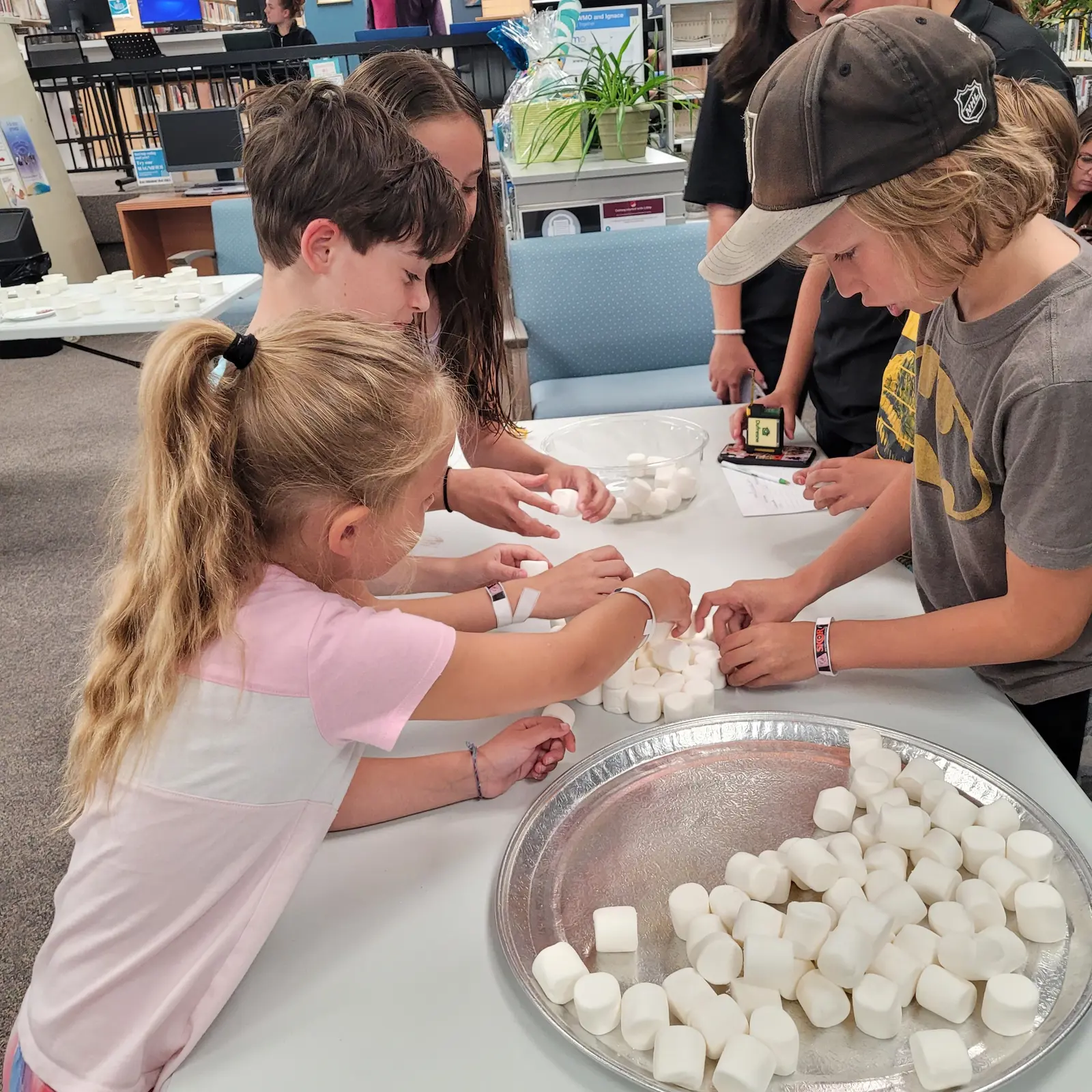 Dryden Public Library