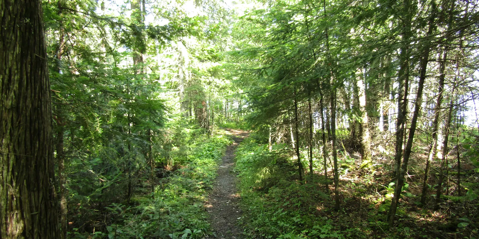 Recreation & Leisure – City of Dryden